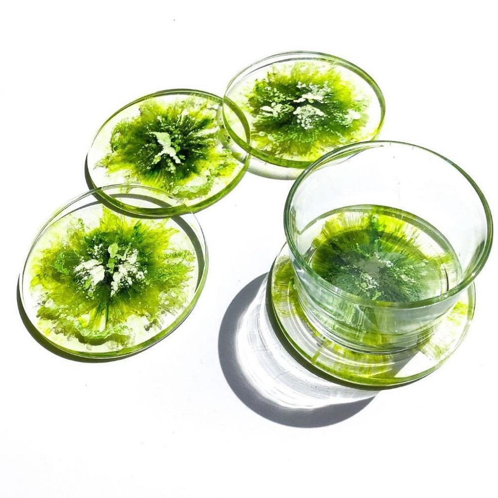 Lime Wire Coasters - Set of 4 – Il'argento