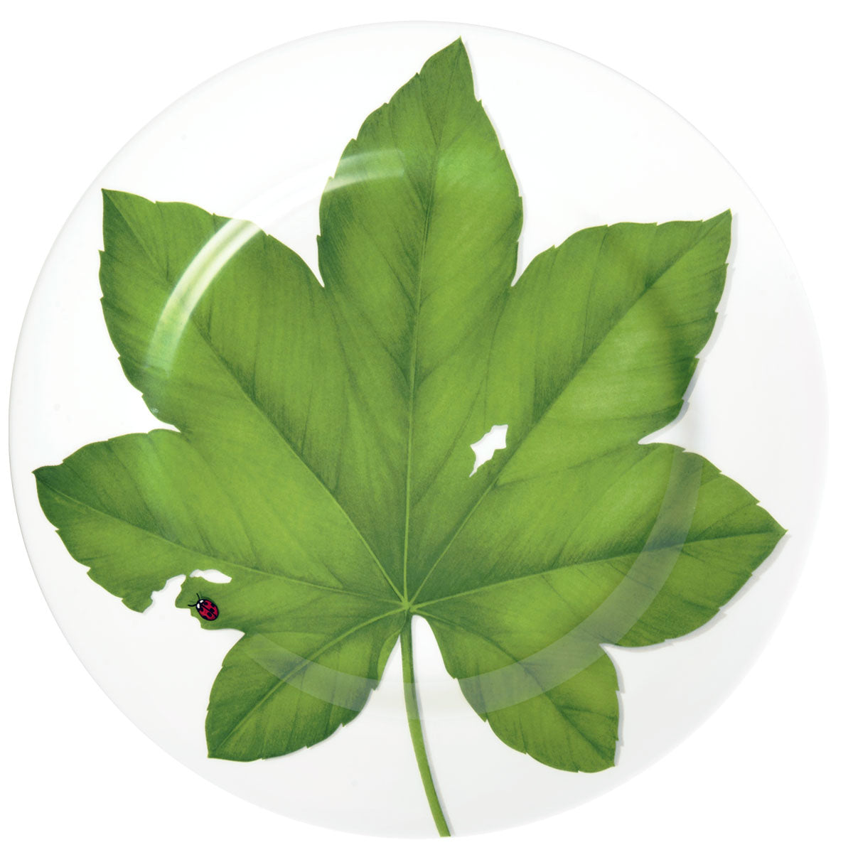 Freedom - Round Platters Chops (Set of 4) – Il'argento